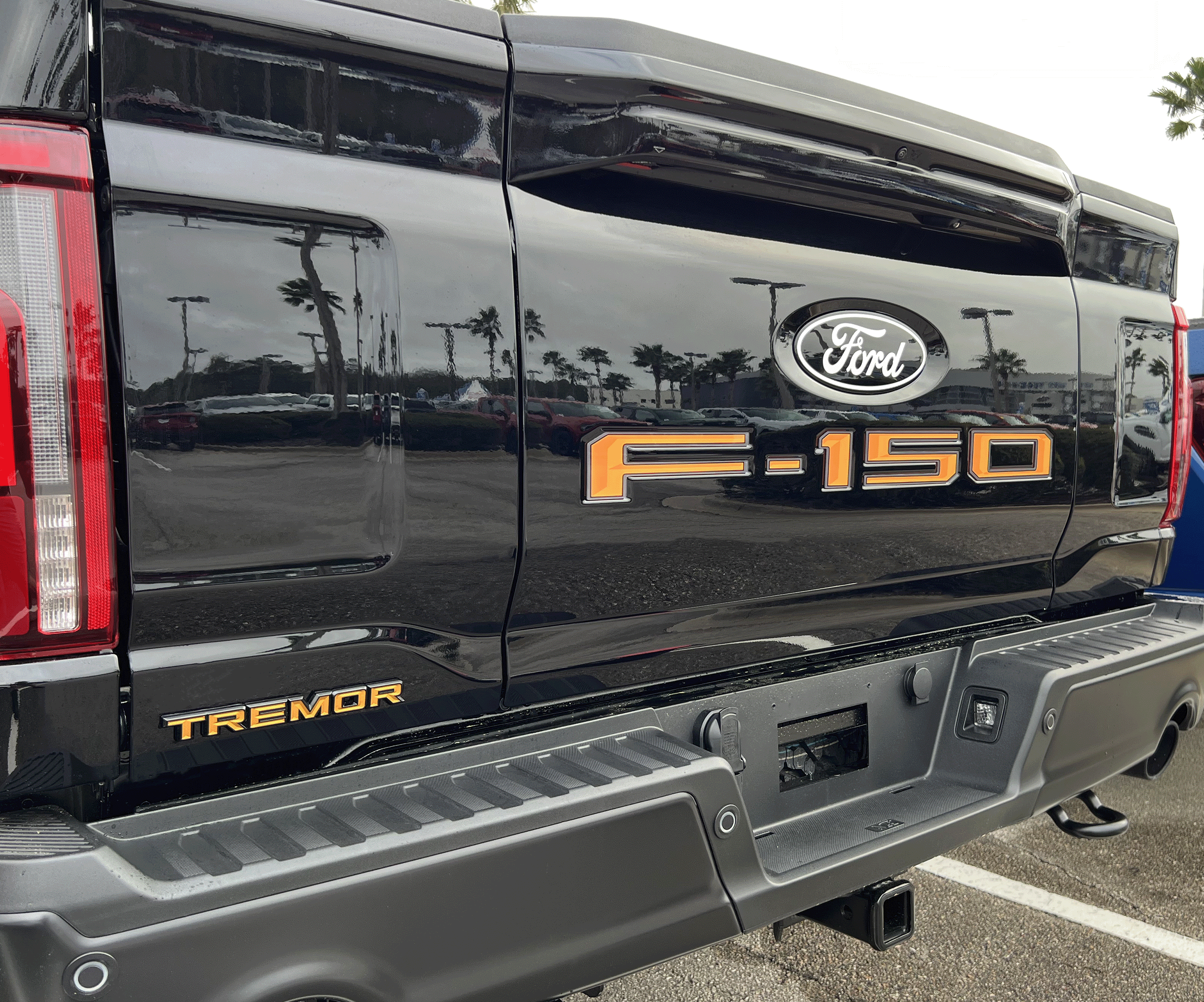 Ford F-150 Lettering Kits – Eurosport Daytona
